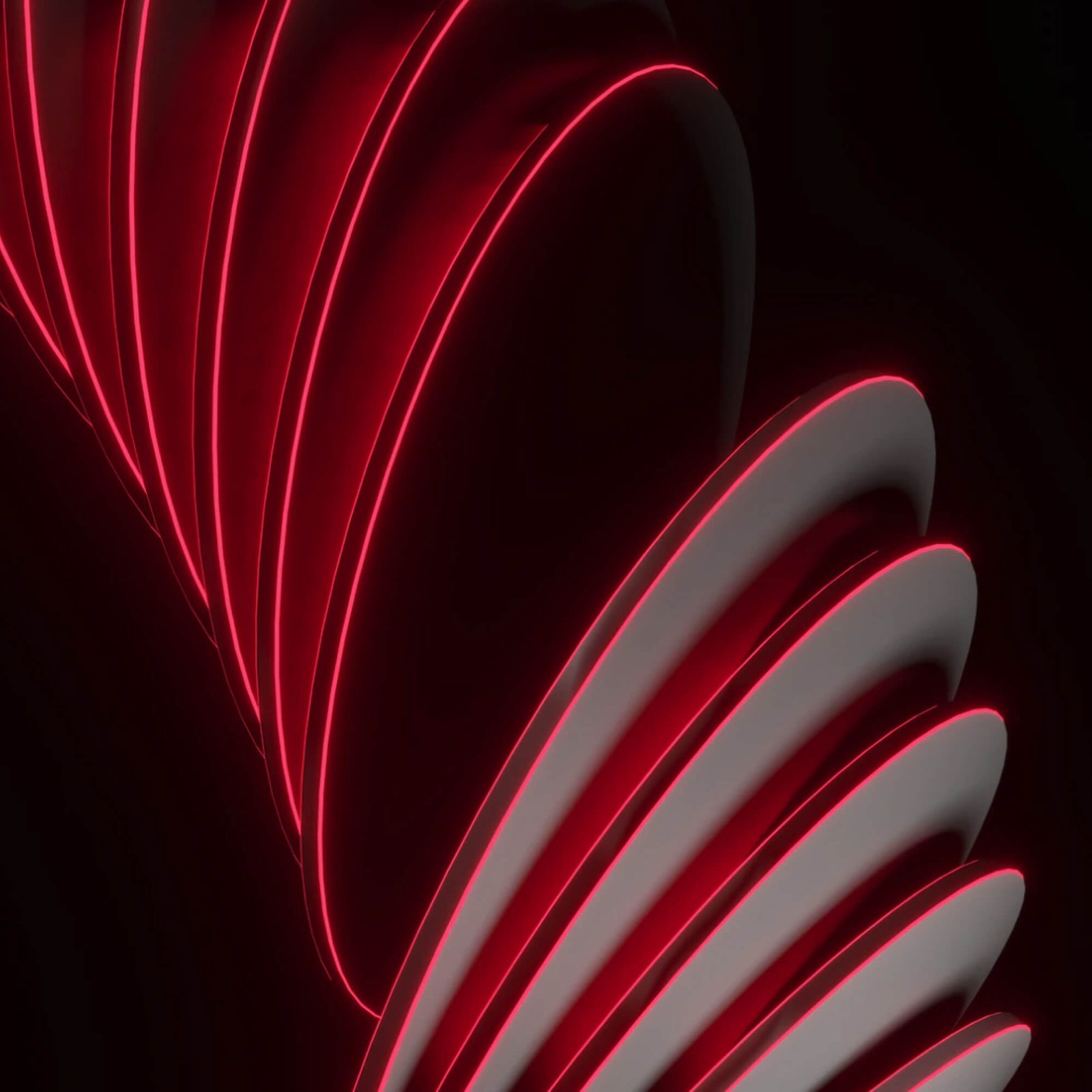 AutoDrive: Autonomous vehicle navigation with advanced Neural Networks ...